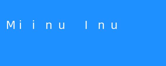 了解Miinu Inu，一只拥有神奇能力的狗犬_木瓜ASMR