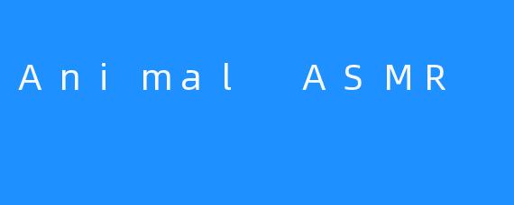 探秘“动物ASMR”的神奇魅力_木瓜ASMR